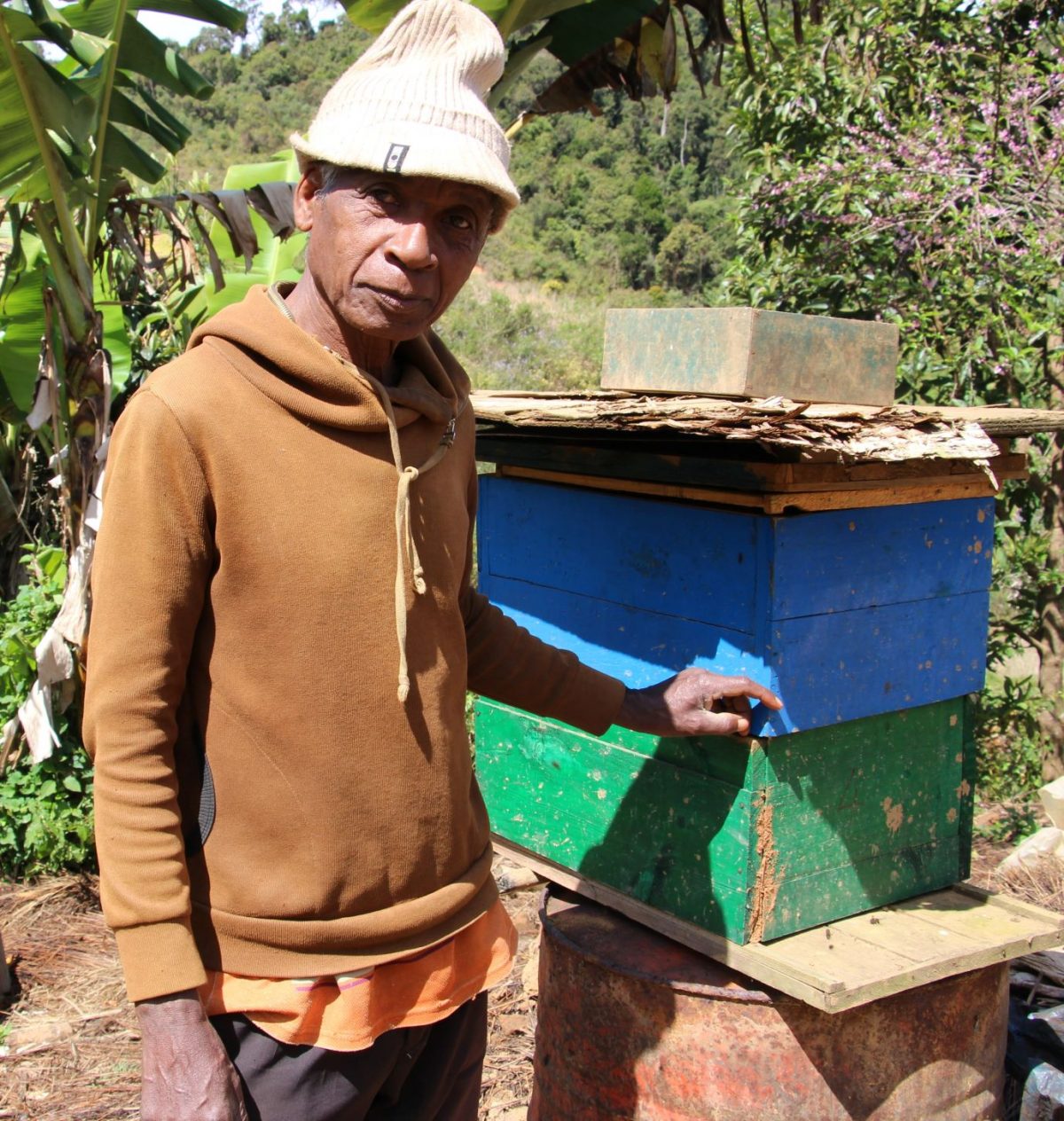 Ambatovy soutient les apiculteurs de Moramanga – Ambatovy
